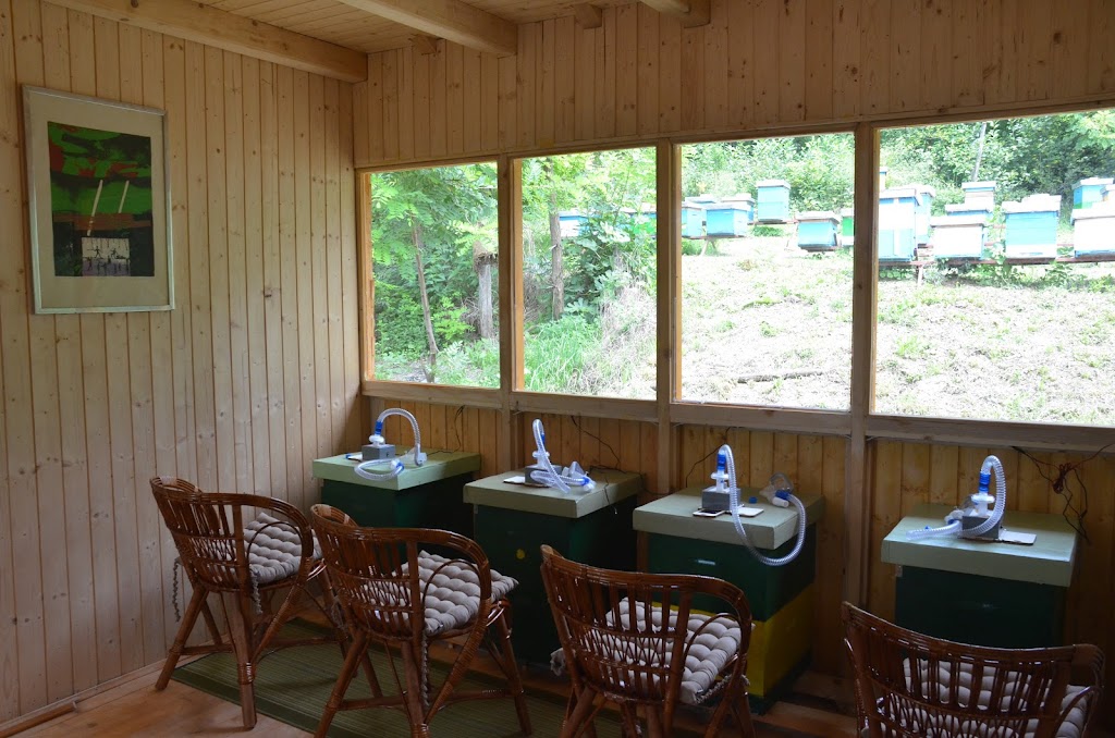 Apiterapija - Lečenje pčelama i pčelinjim proizvodima